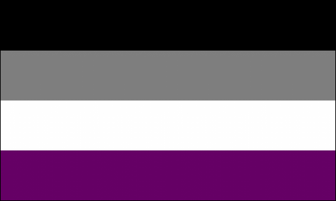 4 Facts About the Asexual Pride Flag! – Pride Palace