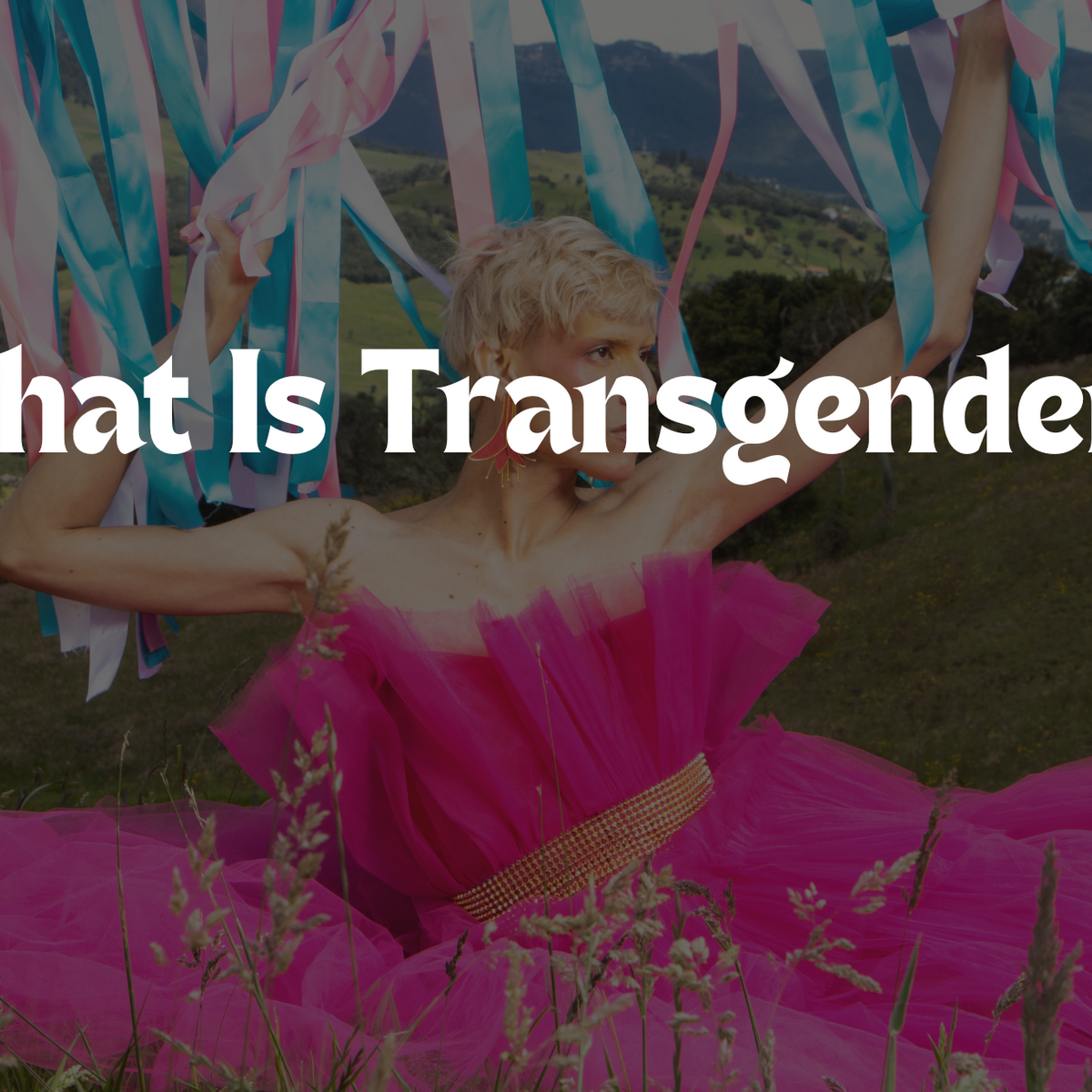 What Is Transgender? – Pride Palace