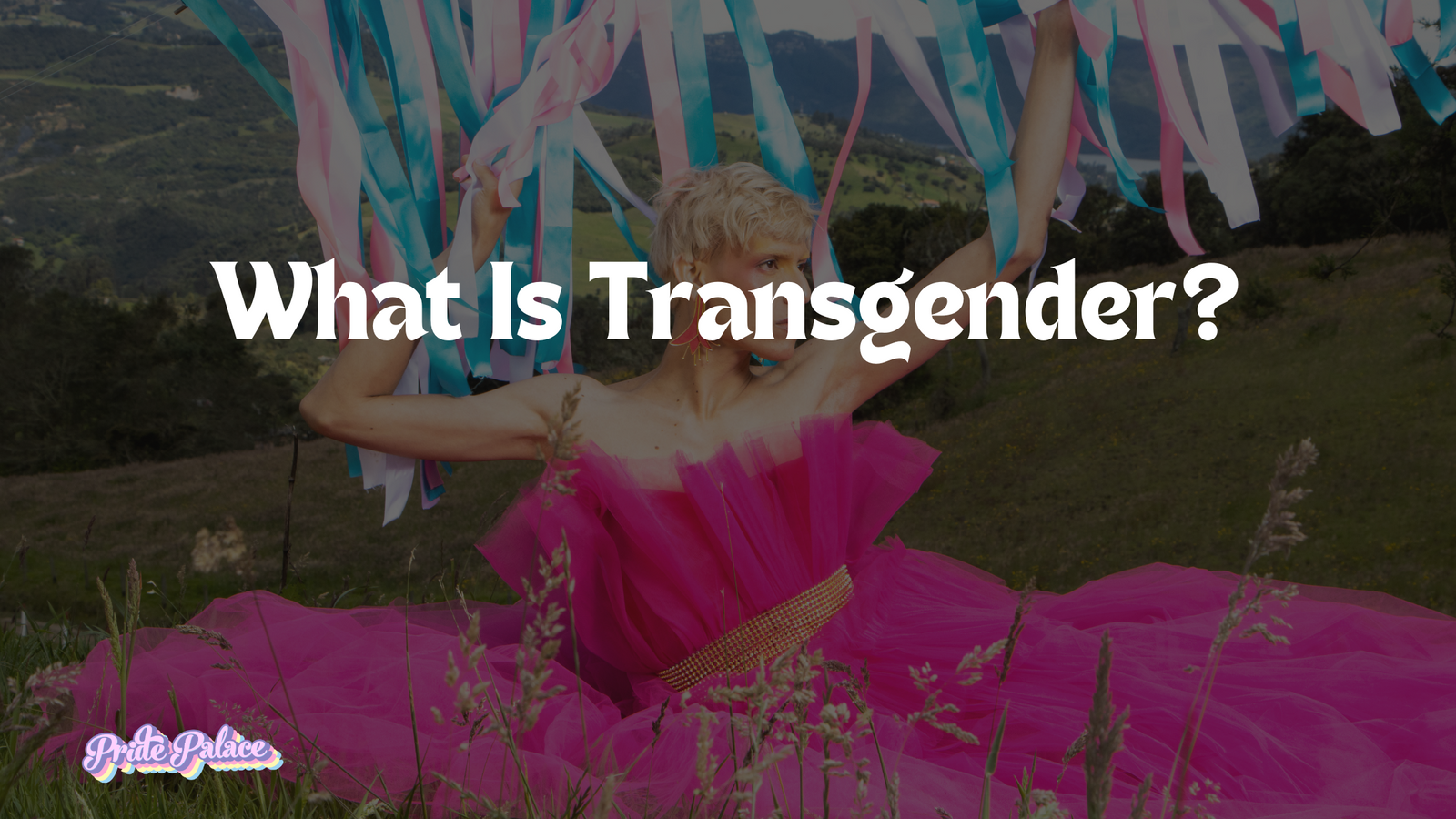 What Is Transgender? – Pride Palace