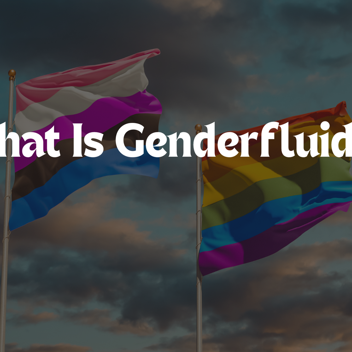 What Is Genderfluid? – Pride Palace