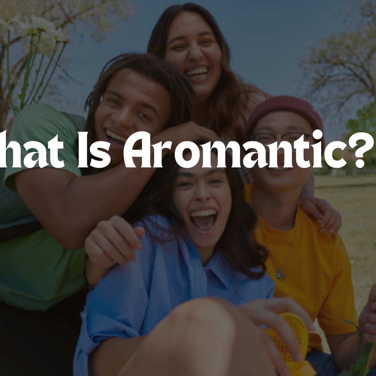 What Is Aromantic? – Pride Palace