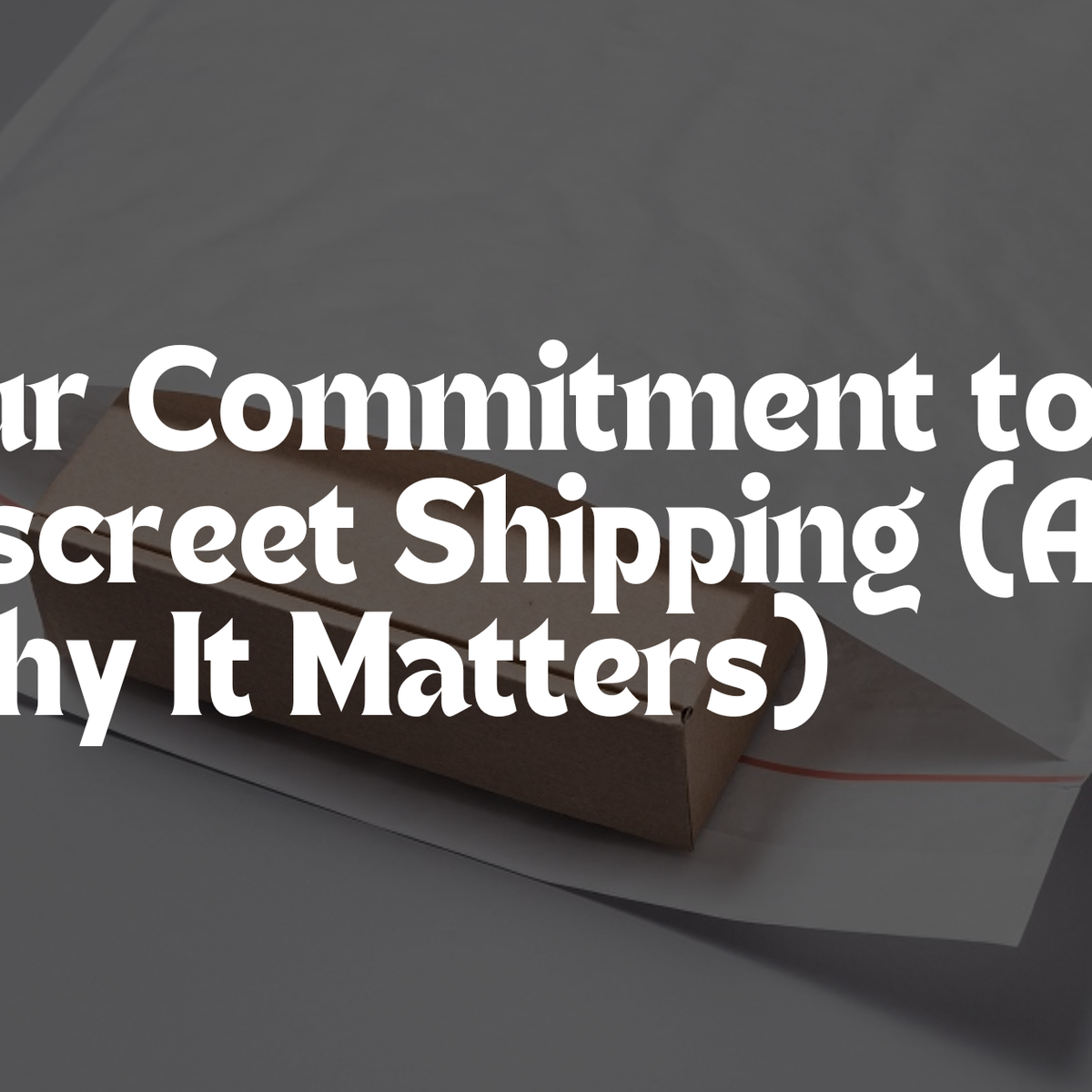 Our Commitment to Discreet Shipping (And Why It Matters) – Pride Palace