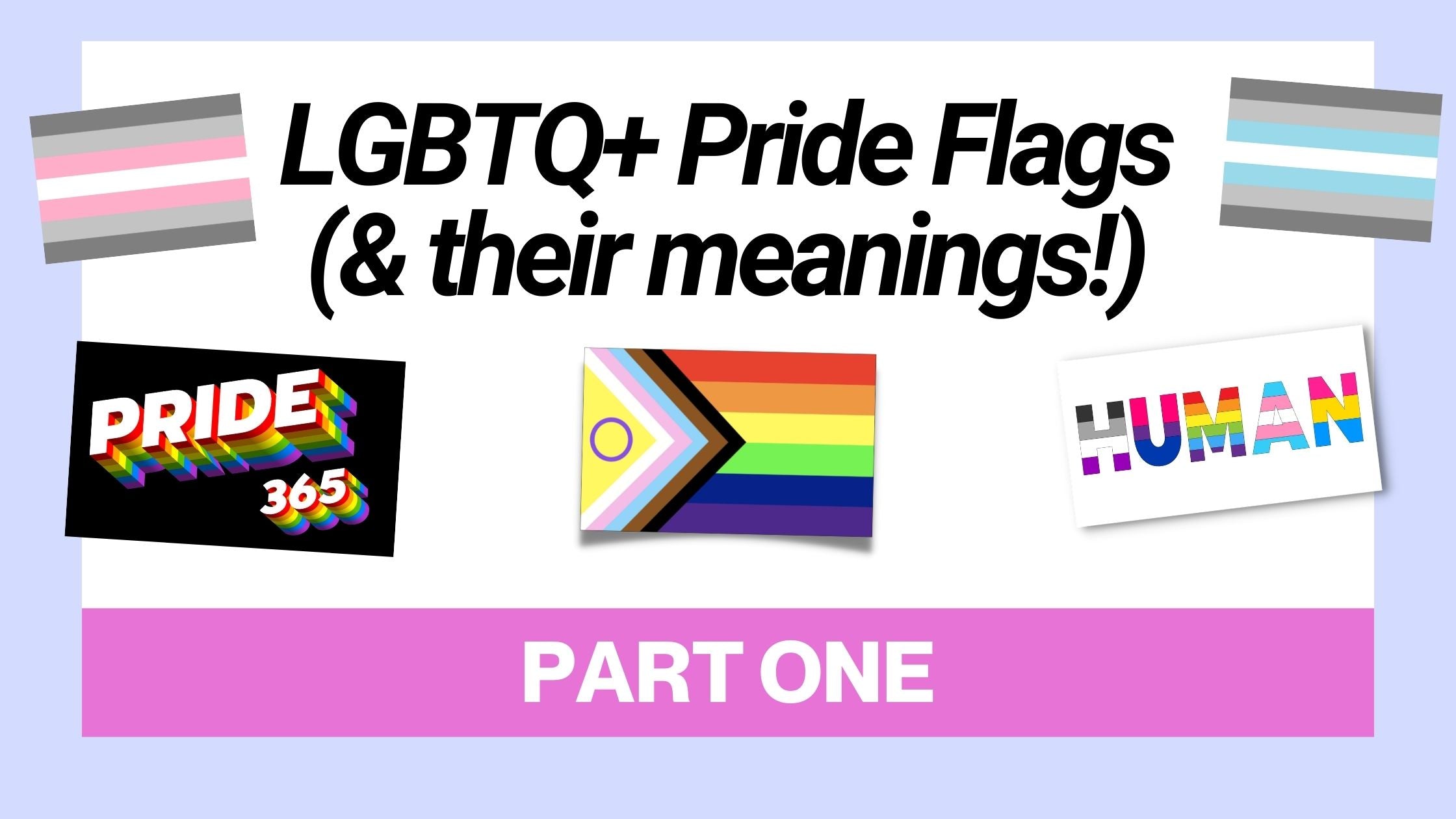 LGBTQ+ Pride Flags & Their Meanings – Pride Palace