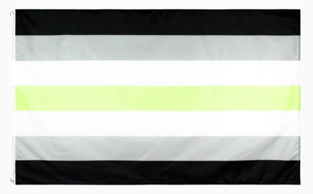 Agender Flag – Pride Palace