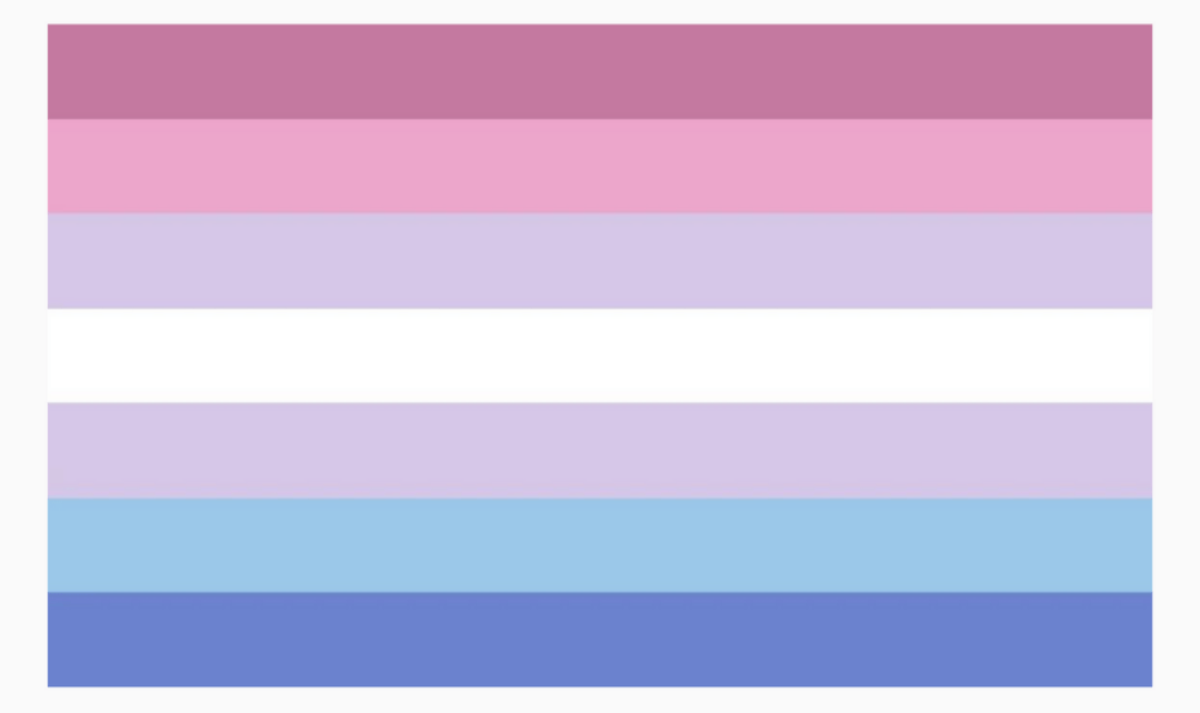 Bigender Pride Flag – Pride Palace