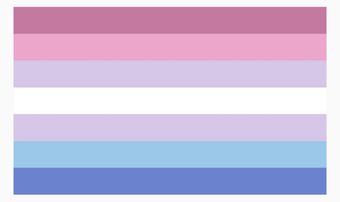 Bigender Pride Flag – Pride Palace