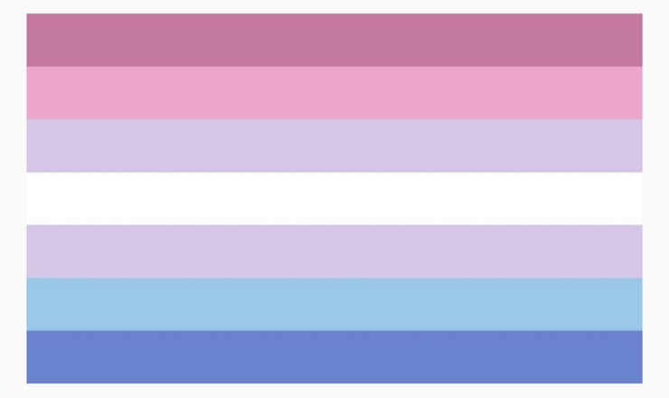 Bigender Pride Flag – Pride Palace