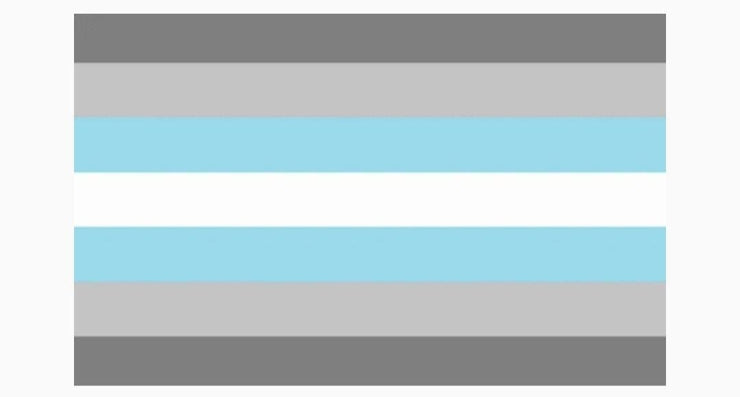 Demiboy Pride Flag – Pride Palace