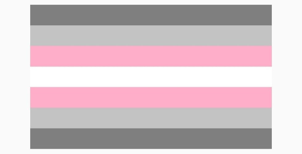 Demigirl Pride Flag – Pride Palace