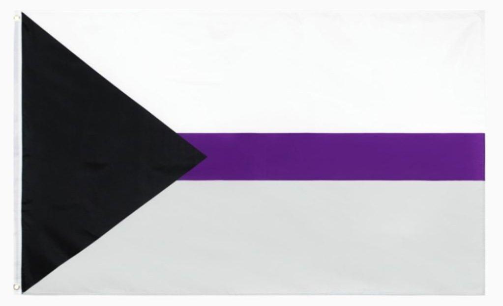Demisexual Pride Flag – Pride Palace