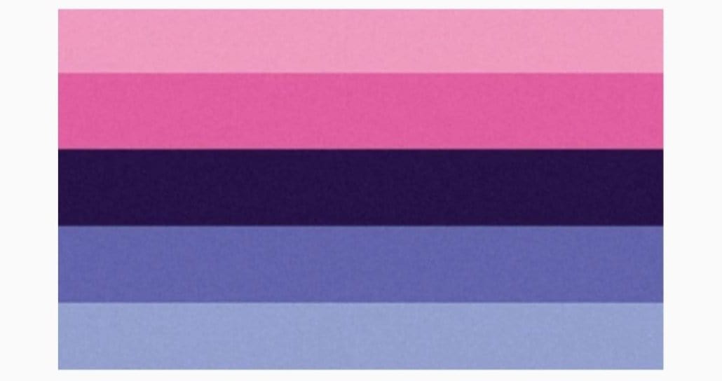 Omnisexual Flag – Pride Palace