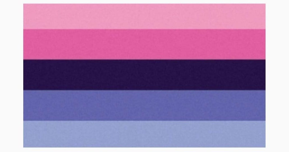 Omnisexual Flag – Pride Palace