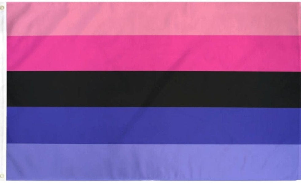 Omnisexual Flag – Pride Palace