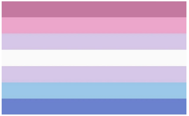 Bigender Pride Flag – Pride Palace