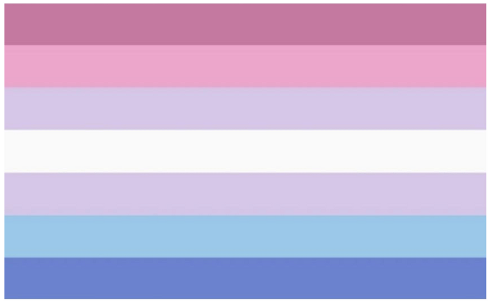 Bigender Pride Flag – Pride Palace