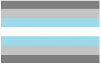 Demiboy Pride Flag – Pride Palace