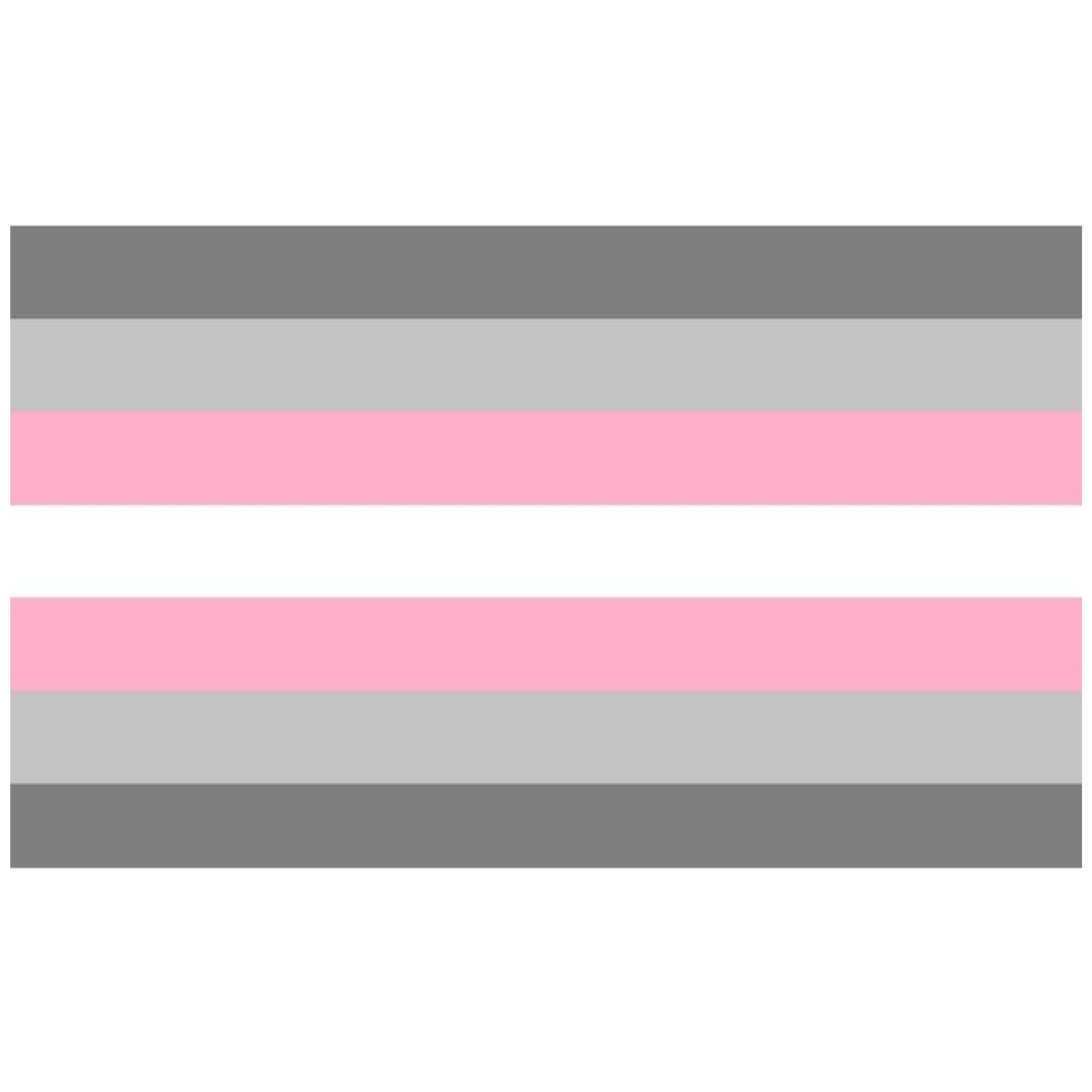 Demigirl Pride Flag – Pride Palace