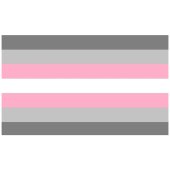 Demigirl Pride Flag – Pride Palace