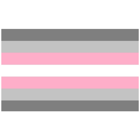 Demigirl Pride Flag – Pride Palace