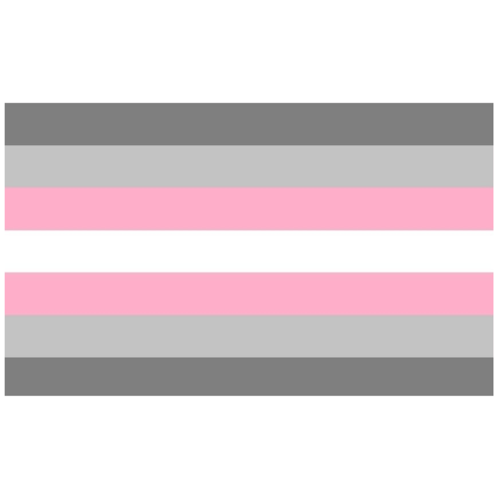 Demigirl Pride Flag – Pride Palace