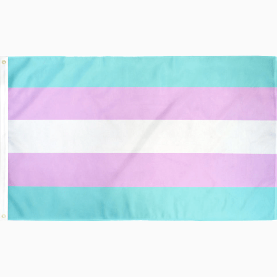Transgender Pride Flag – Pride Palace
