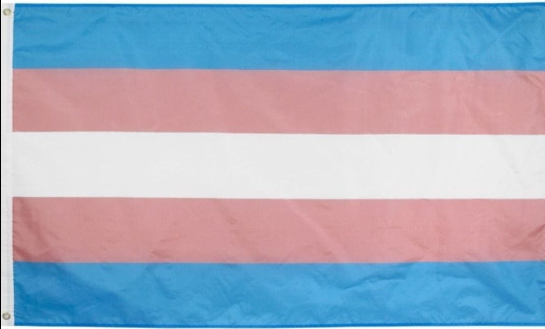 Transgender Pride Flag – Pride Palace