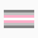 Demigirl Pride Flag – Pride Palace