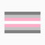 Demigirl Pride Flag – Pride Palace