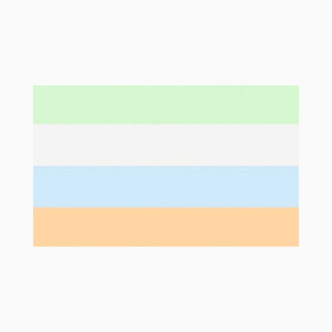 Unlabeled Flag – Pride Palace
