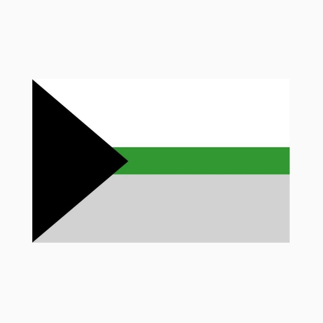 Demiromantic Flag – Pride Palace